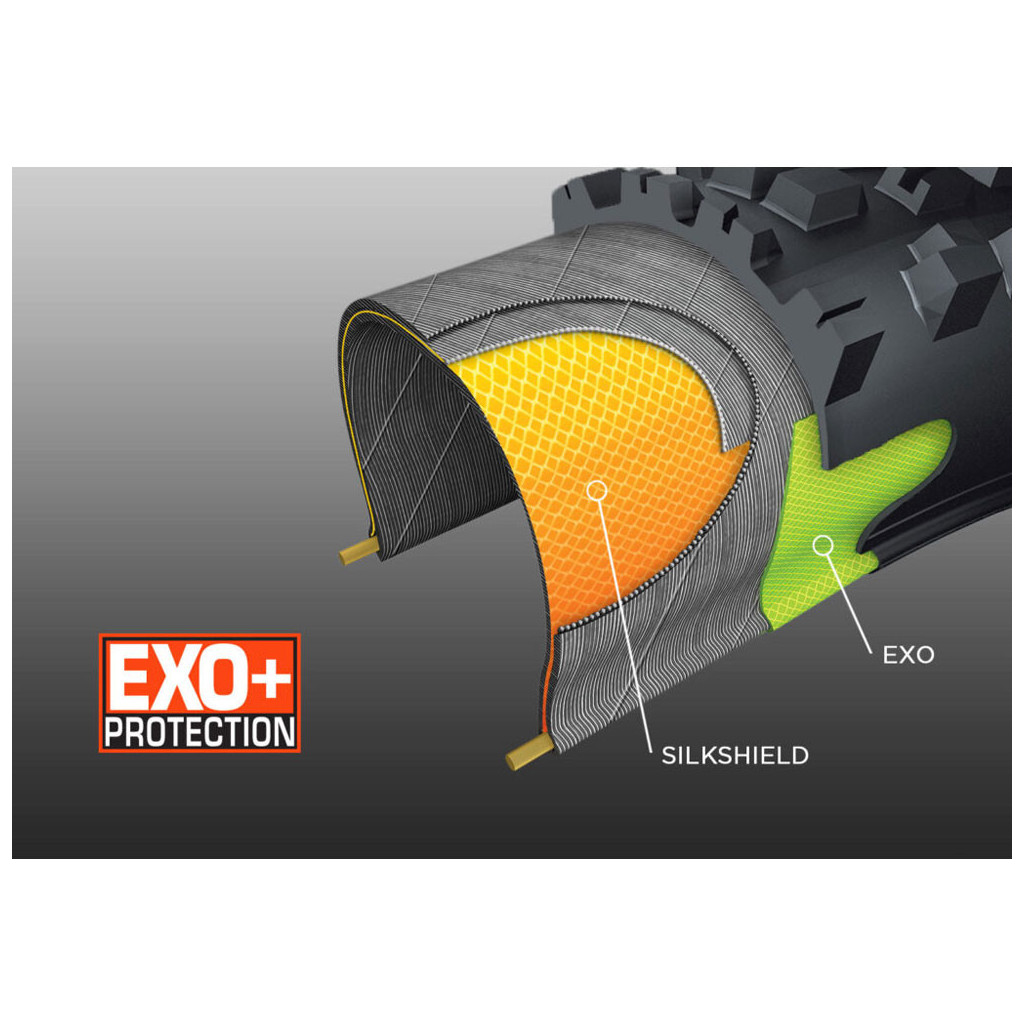 MTB-band 29 inch Maxxis Minion DHR II Wide Trail 3C Maxxterra Exo+ ...