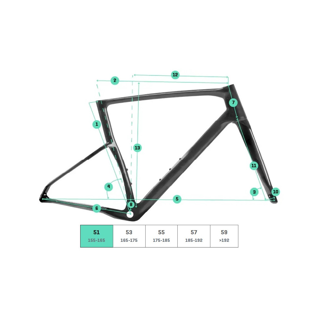 Racefiets Berria Belador BR ultegra Di2 12v wielen Vision carbon SC45 ...